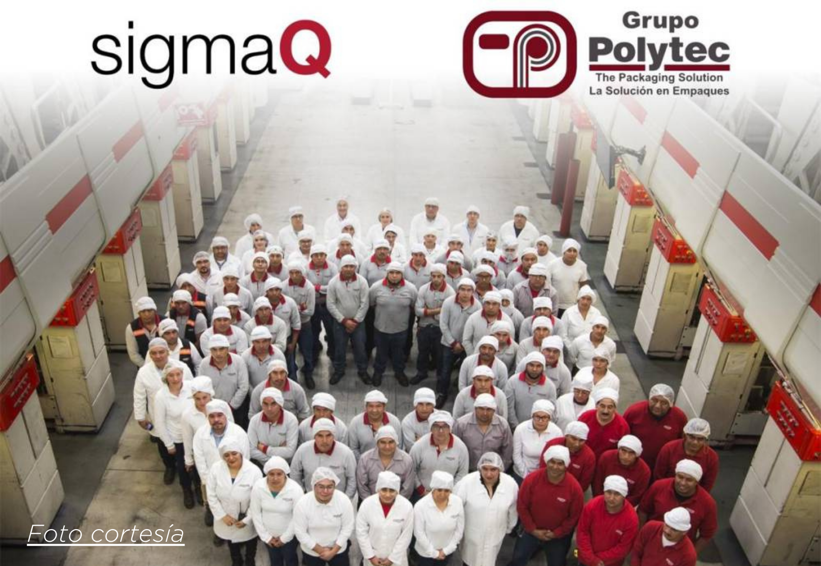 Sigma Q integra a sus negocios a Grupo Polytec